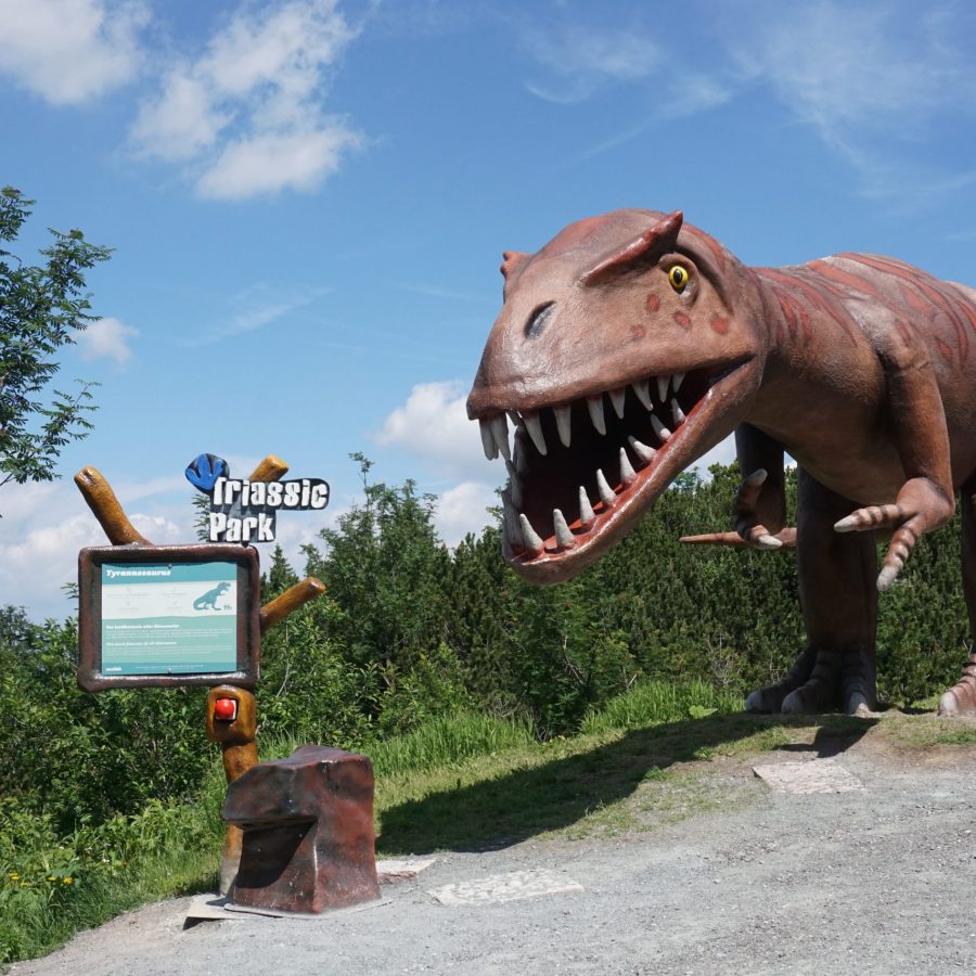 Tipps für den Urlaub in den eigenen vier Wänden - Naturkind Magazin