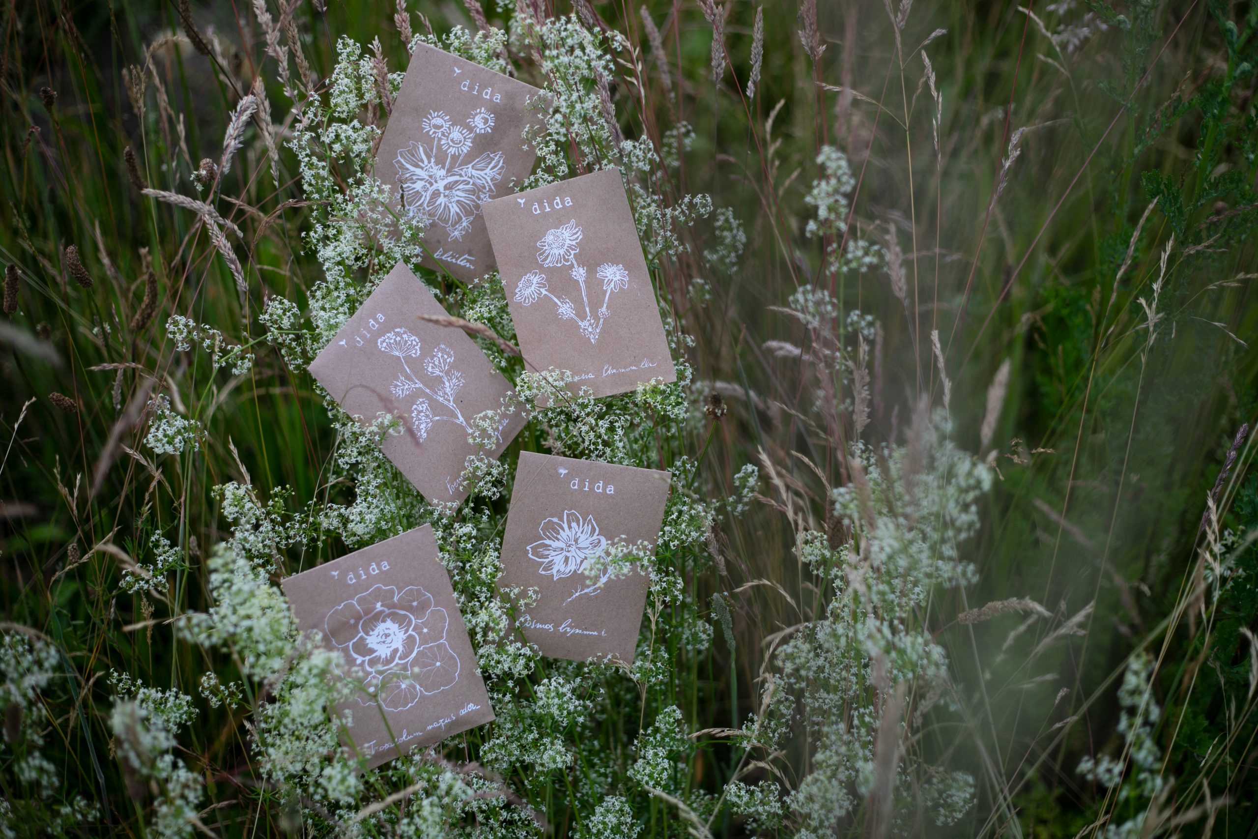 Jetzt wirds bunt - mit Bio-Blumen von dida seeds - Naturkind Magazin