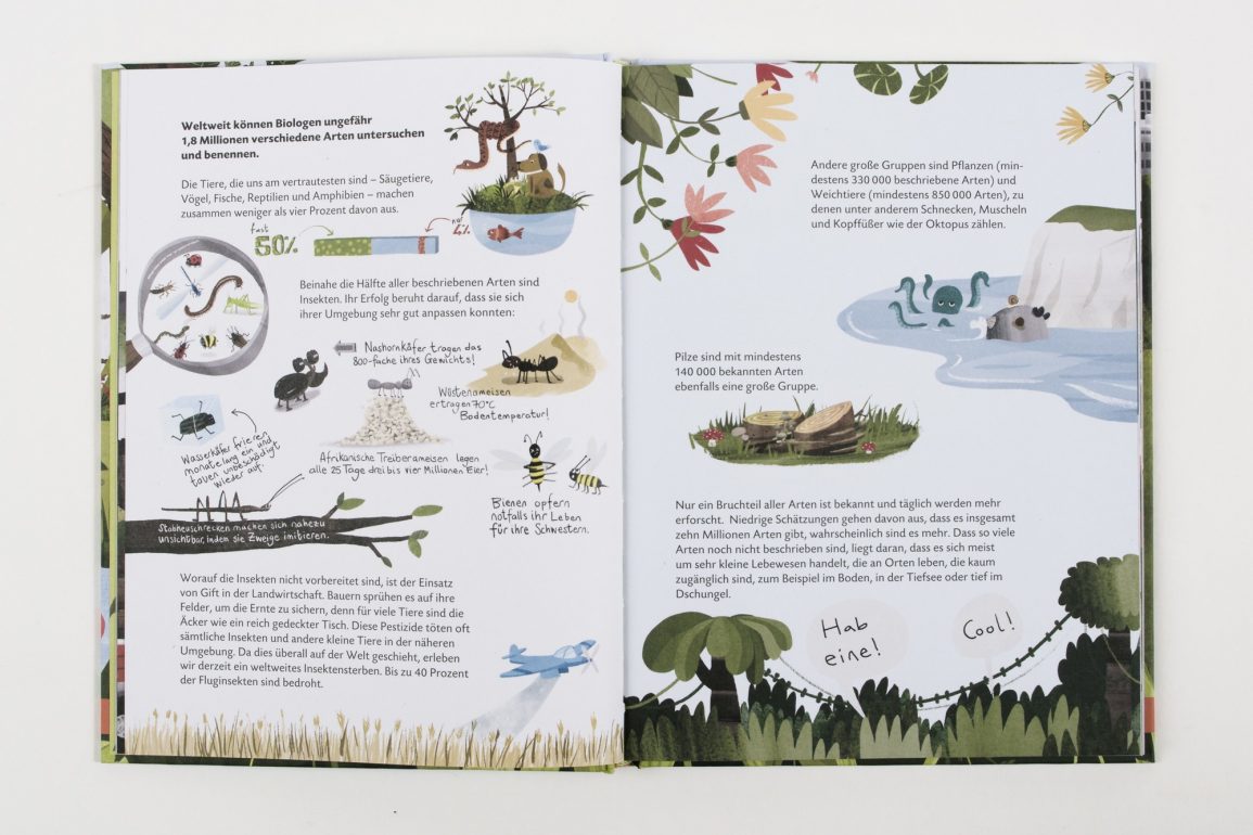 Die Vielfalt der Natur: Biodiversität kindgerecht erklärt