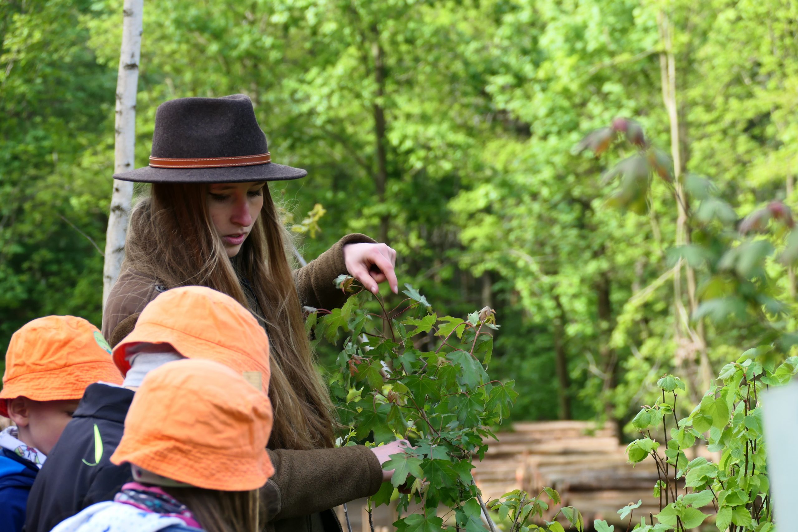 „Mein Wald ist für Dich da“: Diese neue Website stellt Waldbesitzende ...